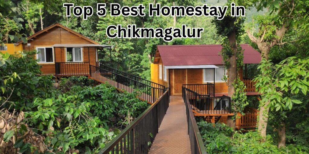 5 Best Homestays in Chikmagalur – Stay Close to Nature